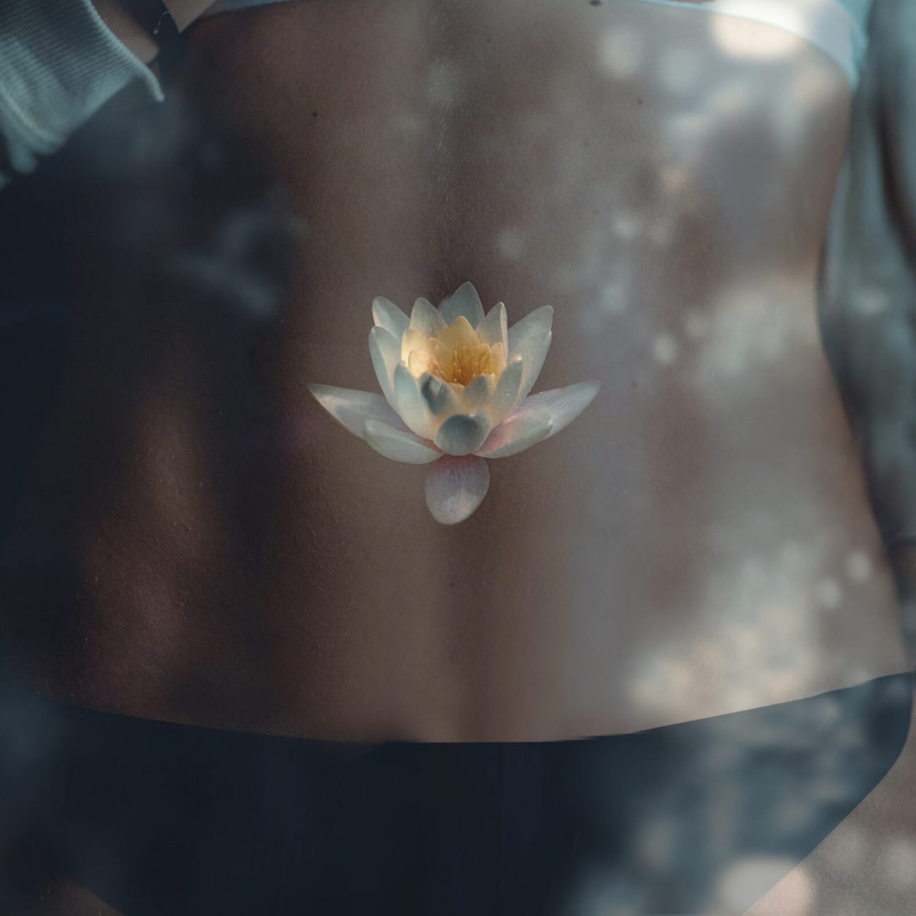 Kako prebava vpliva na hormonsko neravnovesje in težave s ščitnico ...